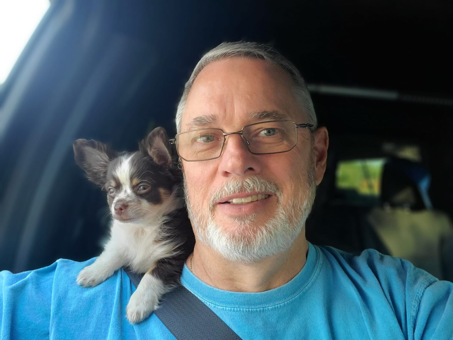 Natalia´s tiny chihuahuas